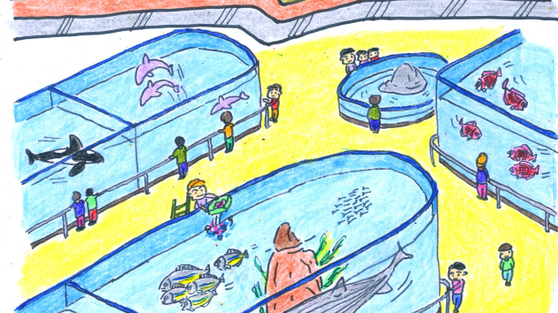 地下にある水族館｜akisen｜coconalaブログ